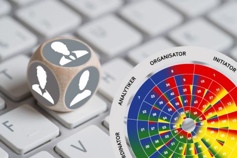 aec-disc-die-potenzialanalyse-personalauswal-weniger-fehlbesetzungen ...